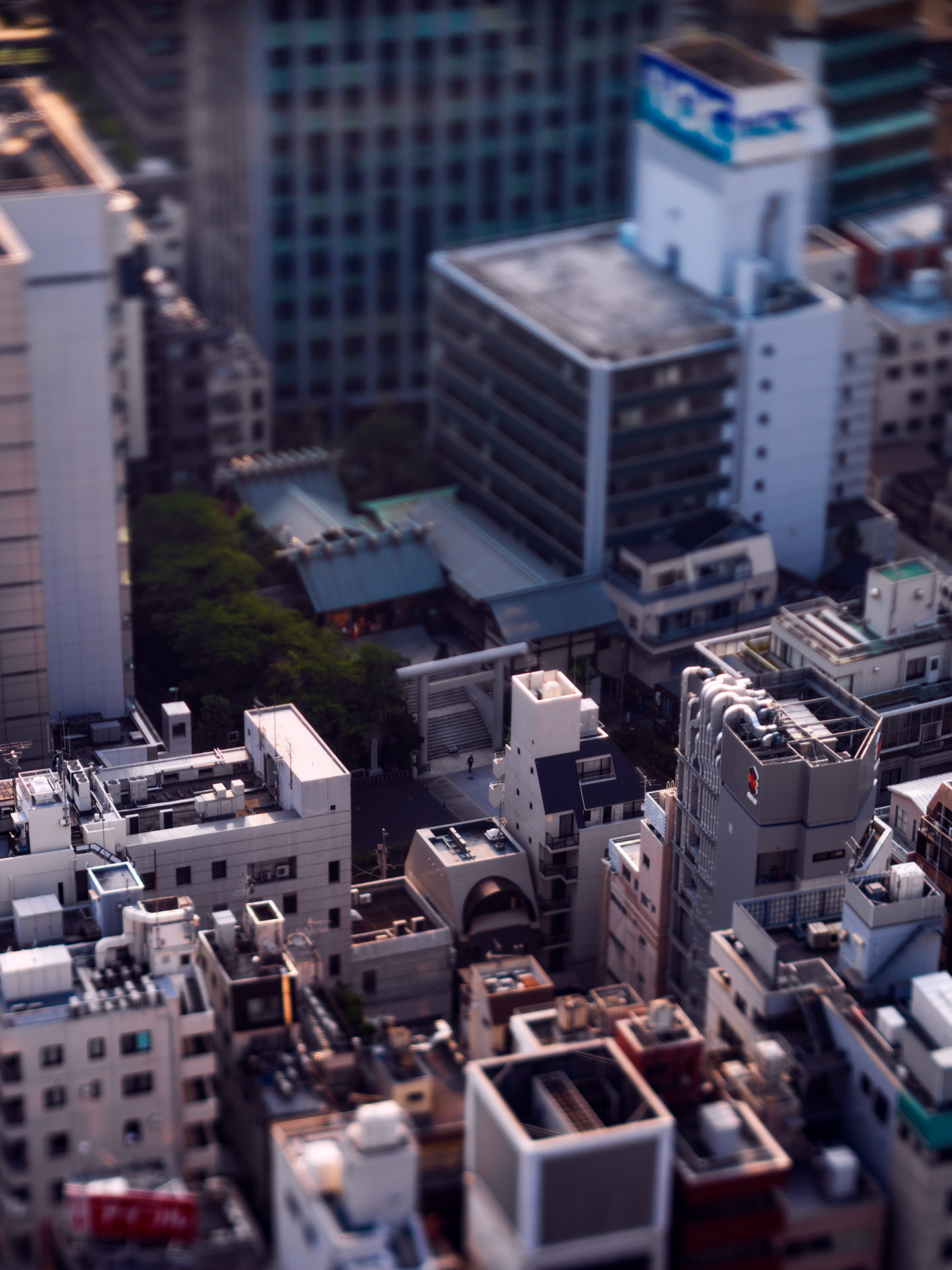 Hope you enjoy the shots. It was lots of fun shooting and editing them.